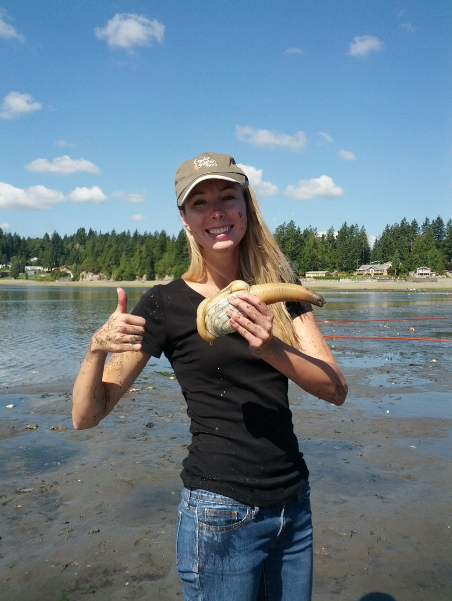 How to Dig a Geoduck – Element Seafood