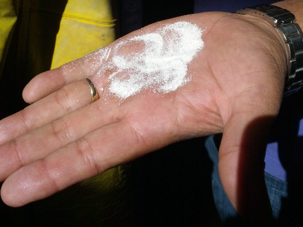 Shellfish Hatcheries & Nurseries: Where do oysters come from? – Element ...