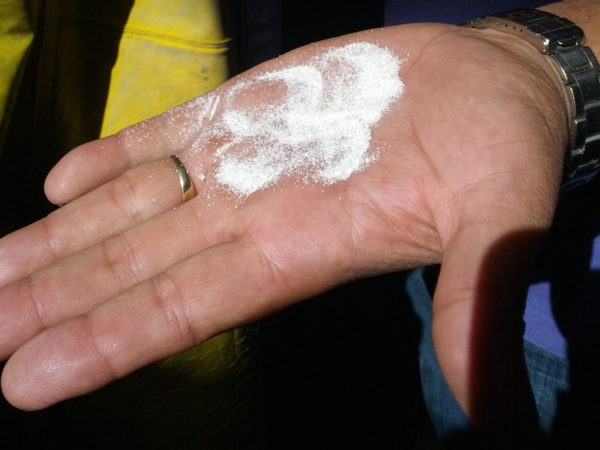 Shellfish Hatcheries & Nurseries: Where do oysters come from? – Element ...