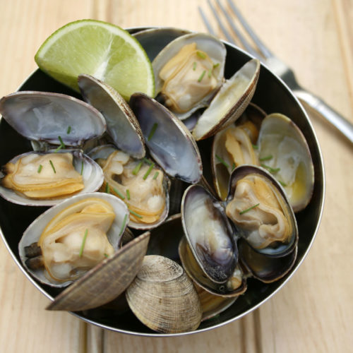 Manila Clams (2-lb bag) – Element Seafood